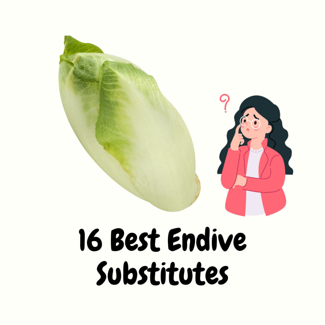 16 Best Endive Substitutes (Frisée & Belgian Endive Alternatives)