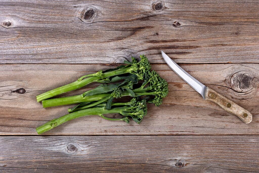 9 Delicious Chinese Broccoli Substitutes For Asian-Inspired Dishes