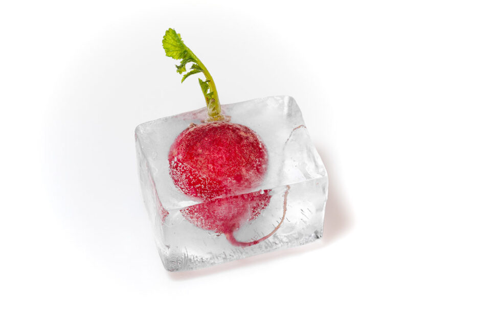 Preserving Crispness: Can You Freeze Radishes?
